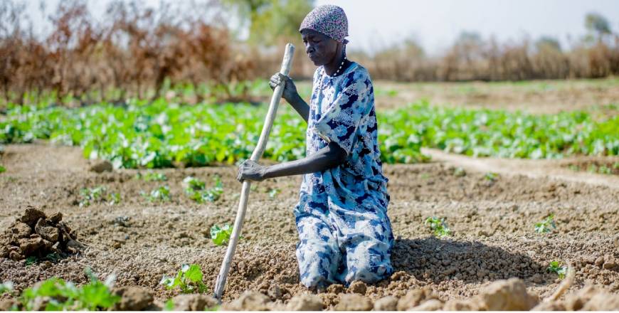 Diploma In Livelihoods and Food Security | Action Institute for ...